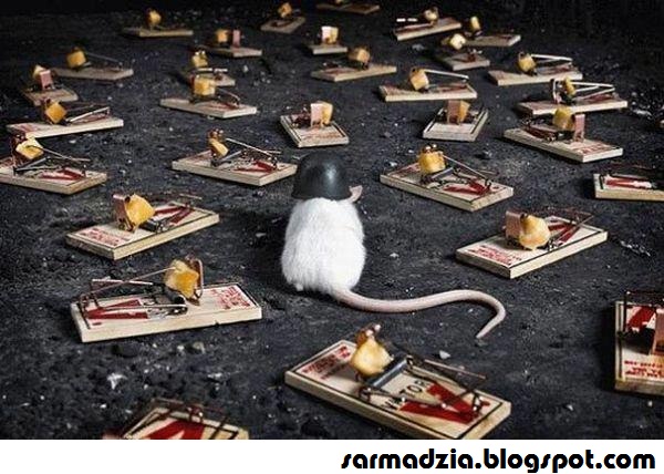 Mission Impossible 5 ~ Funny Pictures | Comics | Troll | Epic Fail ...