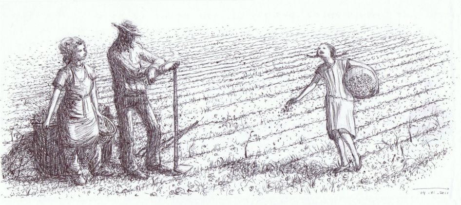 Cuban Arts Connection - A Cuban Arts Blog: El Dibujo por Manos de ...