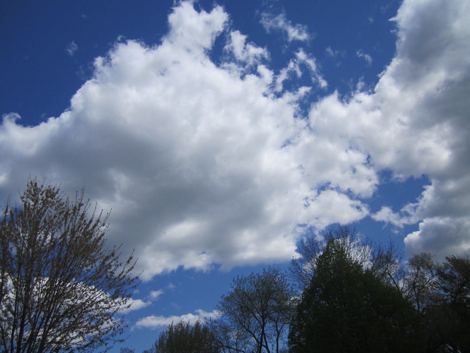 Mrs. Cowen's First Grade: Clouds!