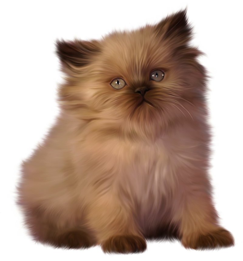 .Várias PNG'S.: Gatos Png