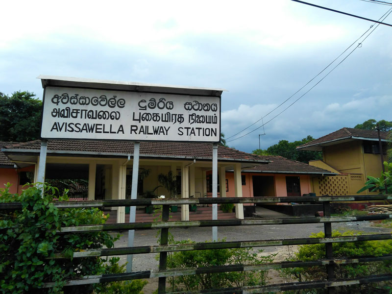 තඩියා: 31 රෑ