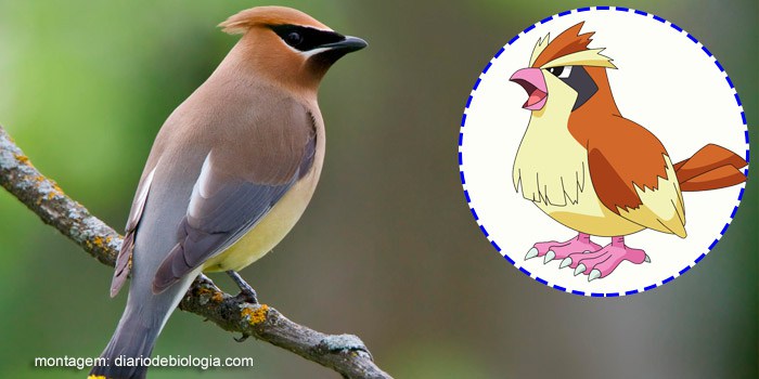 Conheça alguns animais da vida real que inspiraram pokemóns! - Beth ...