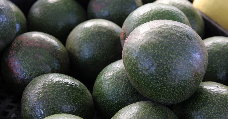 To Market, To Market with San Diego Foodstuff: Reeds: The Summer Avocado