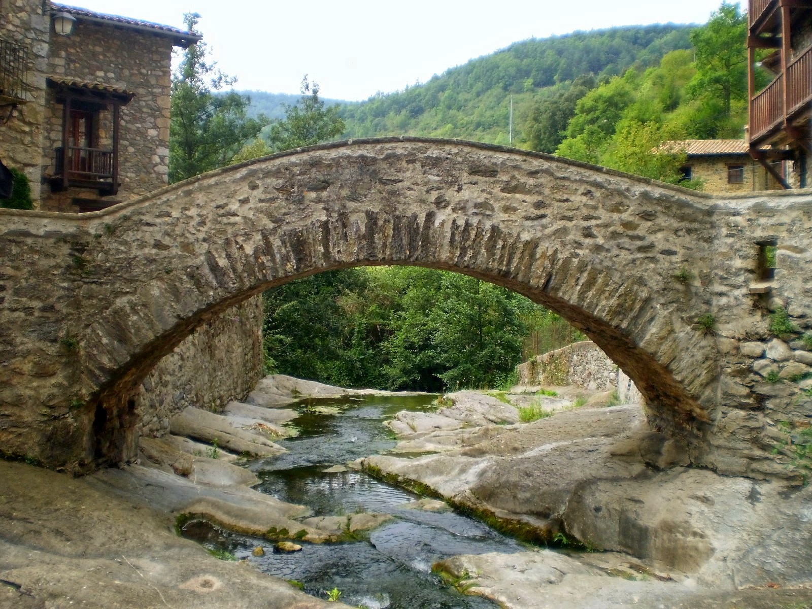 NATURA VIVA: BEGET, QUIN POBLET!