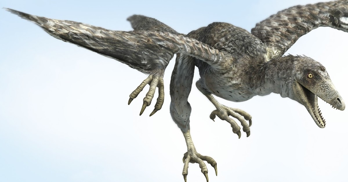 Adventures under the Dark Sun: Kitsu