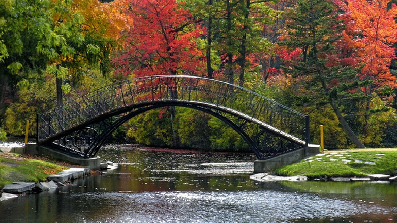 Amazing World: Beautiful Bridges Wallpapers