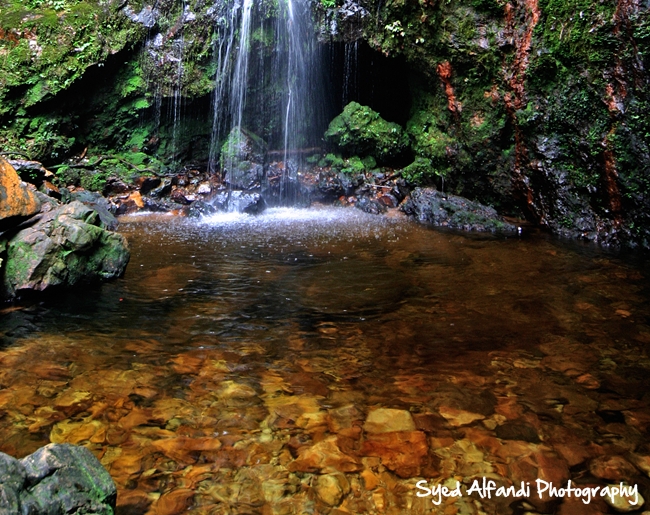 Rocky bed of the stream.