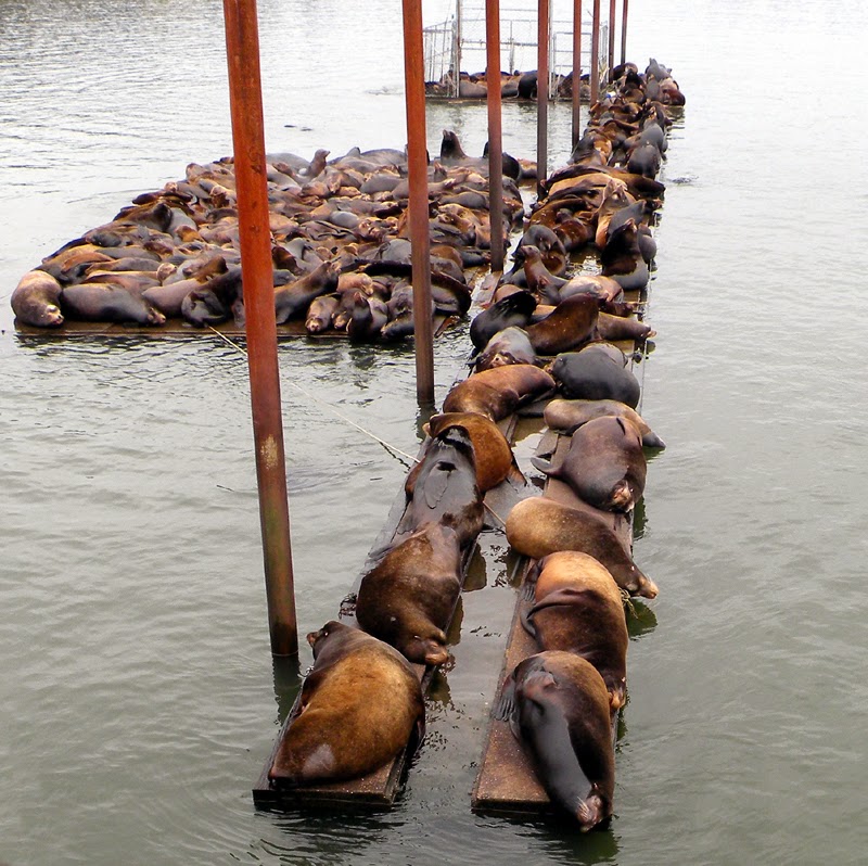 ramble & frolic: destination: jewell meadows, oregon