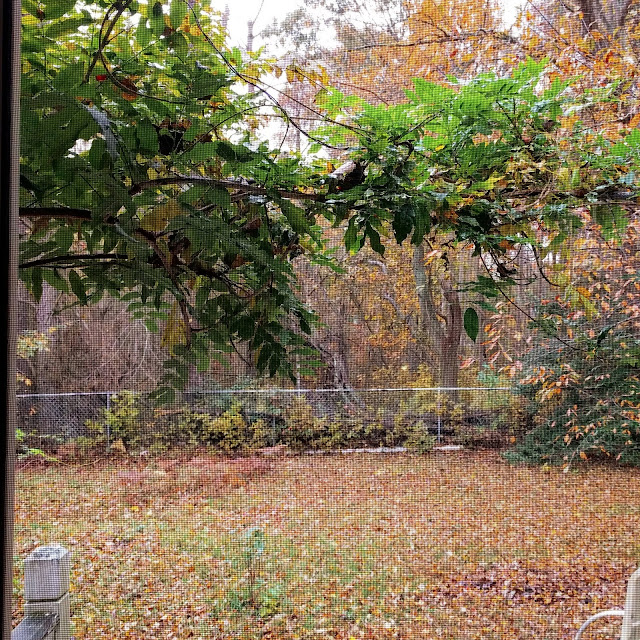 Cottage by the Sea : Autumn by the Bay