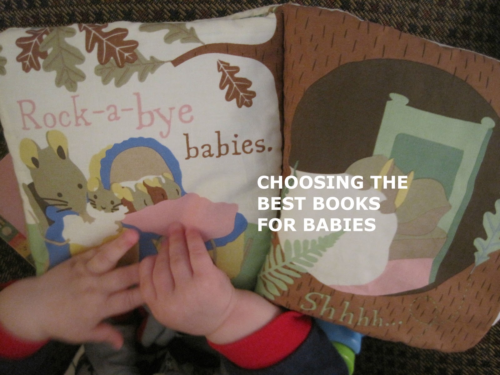 Good Books For Young Souls Chewable Books For Teething Babies You Choose good-books-for-young-souls-chewable-books-for-teething-babies-you-choose
