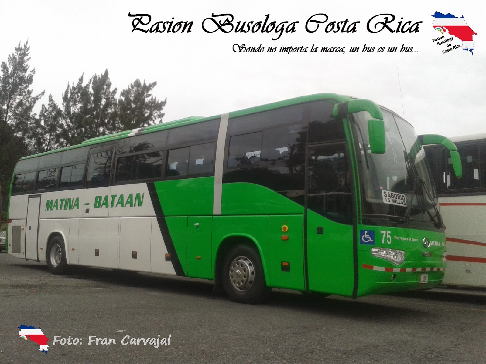 Pasion Busologa de Costa Rica: Galeria 27 de octubre 2013 (Grupo Caribeños)