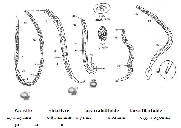 Biomedicina, Saúde, e Literatura