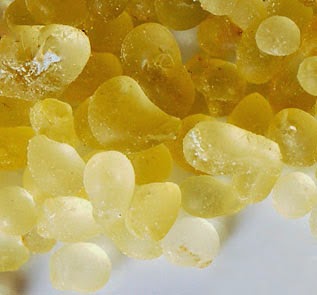 Natural Skincare Ingredients for Holistic Living: Ingredient Spotlight ...