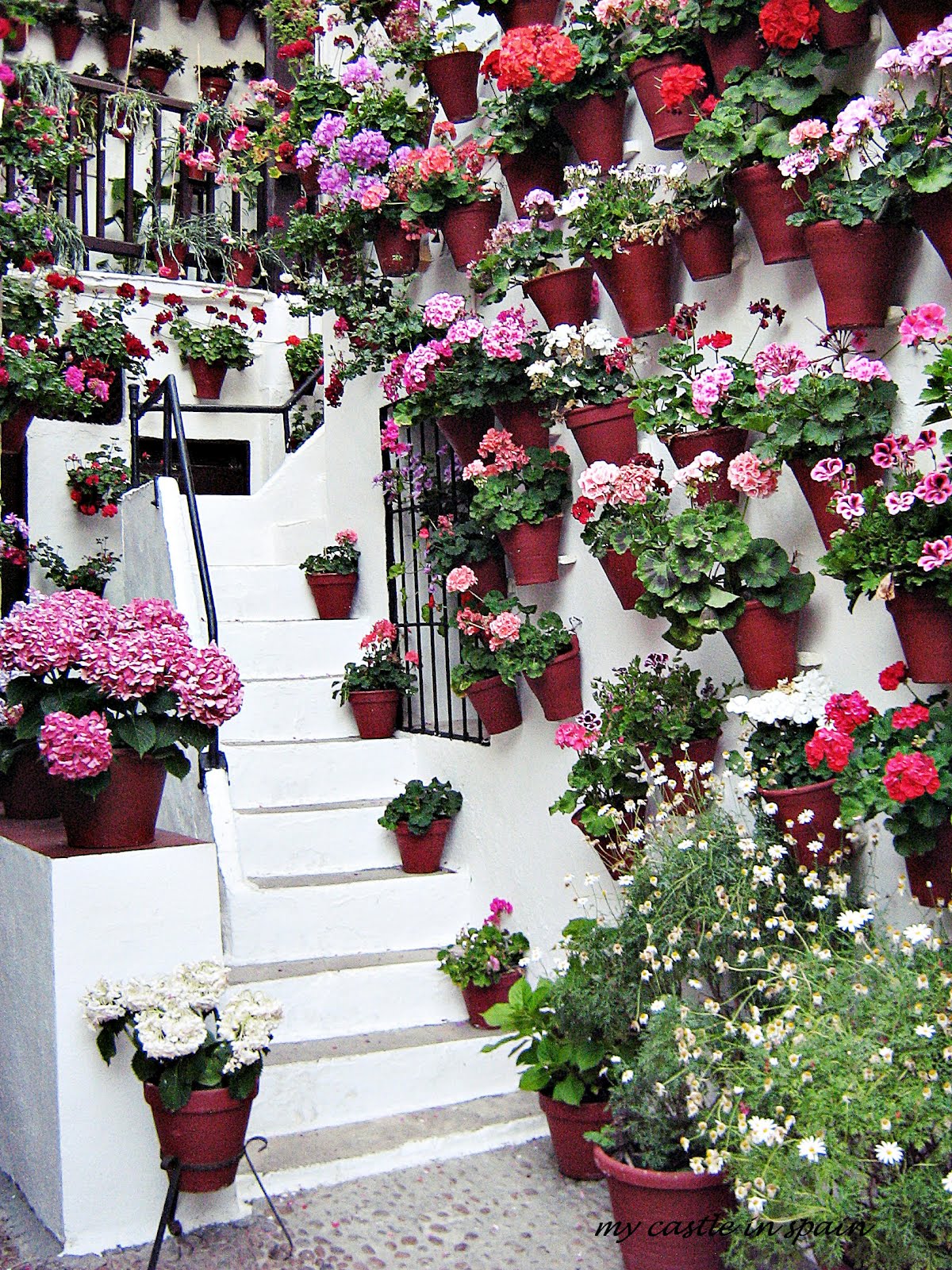 The beauty of the Andalusian patio