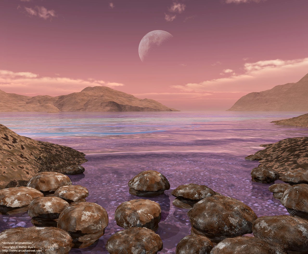 Ciencias de Joseleg: El Arcaico