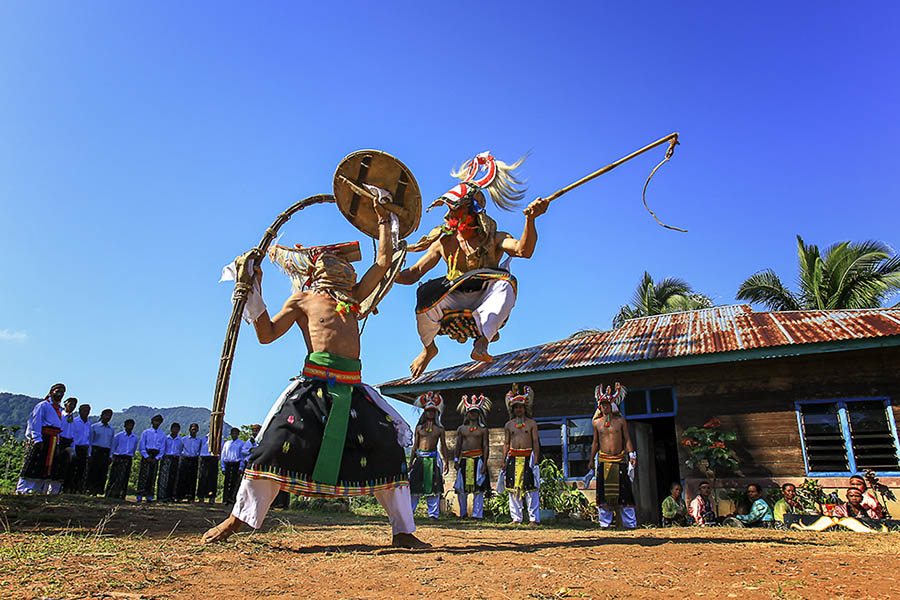 TRADISI CACI BUDAYA MANGGARAI - SHARE GENERAL