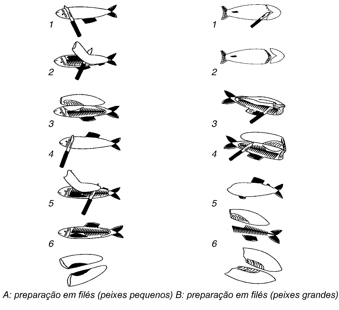 S.O.S. NOIVAS NA COZINHA: PEIXES