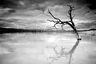 Nice Old Spice: 2012