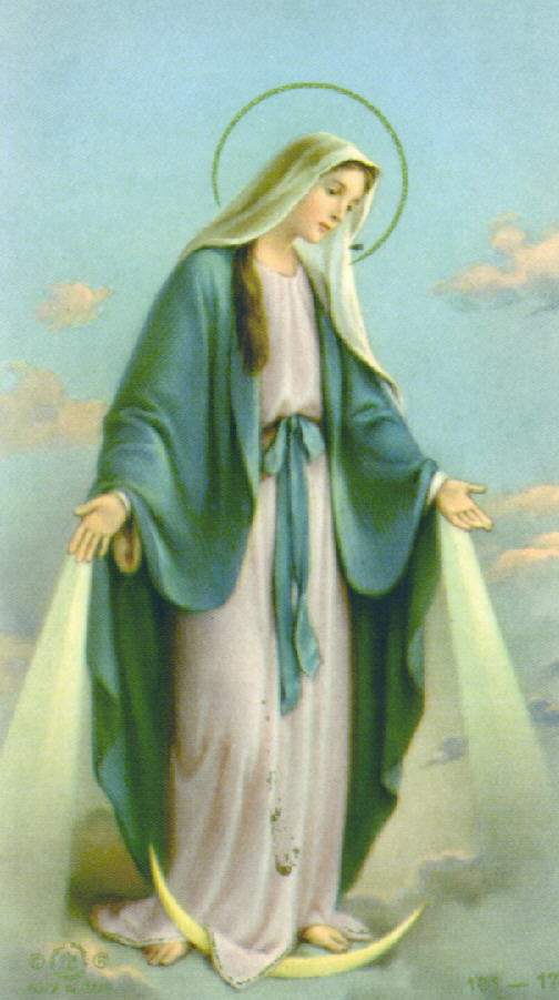 The Catholic Reader: 33 Days of Consecration to Mary