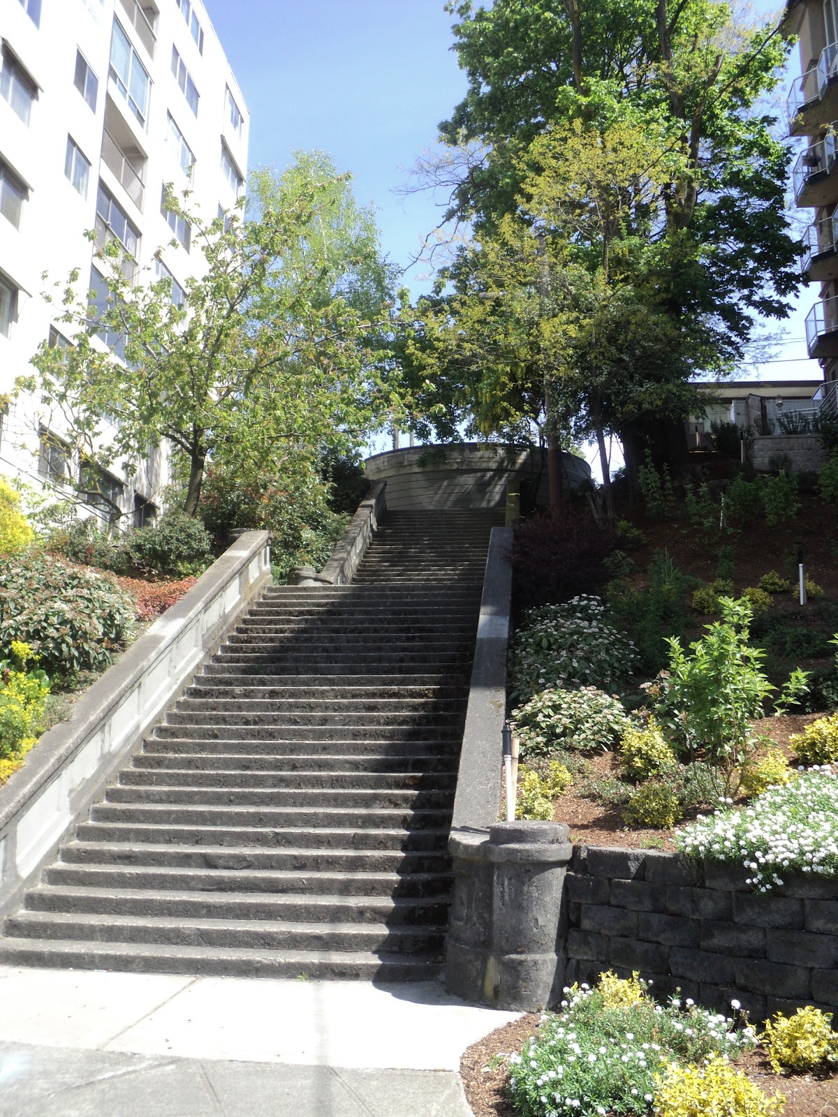 Walking Seattle Neighborhoods: Broadway Neighborhood of Capitol Hill ...