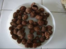 Amomum Seeds: What is the Amomun Seeds