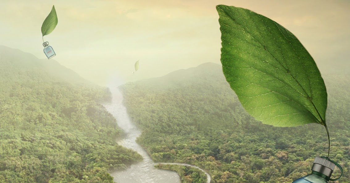 Hugo - One Fragrance, One Tree