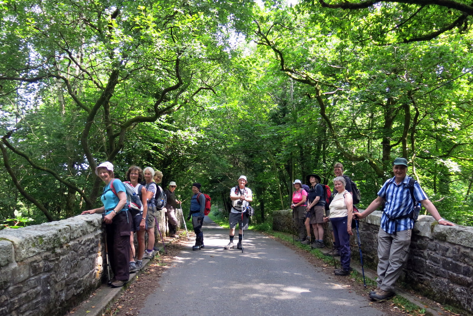 The Glebe Blog: Wigtownshire Ramblers Cuil Creetown July 2013