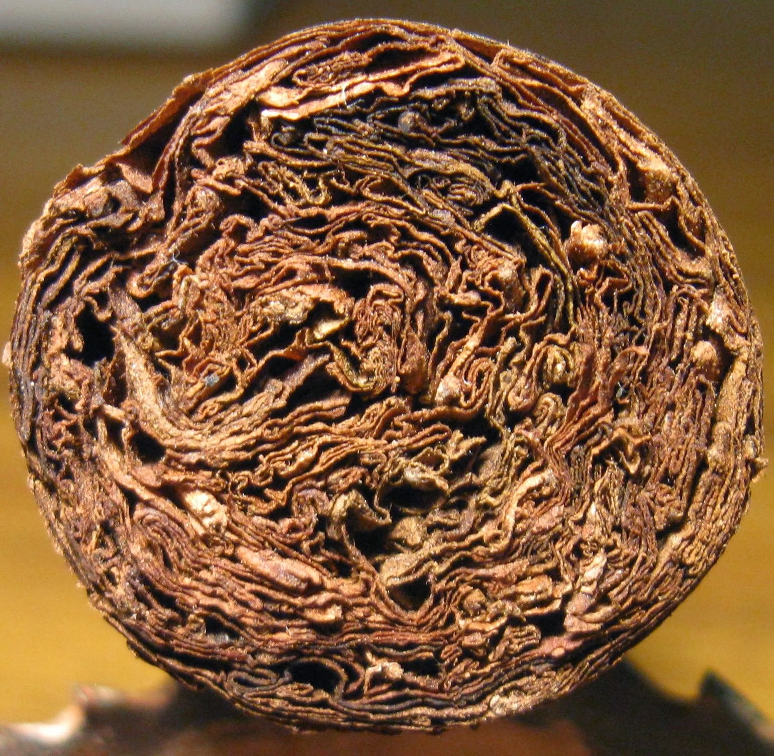 Cheap Charlie, Cigars: Inch cigar by E.P. Carrillo Cigar Co.