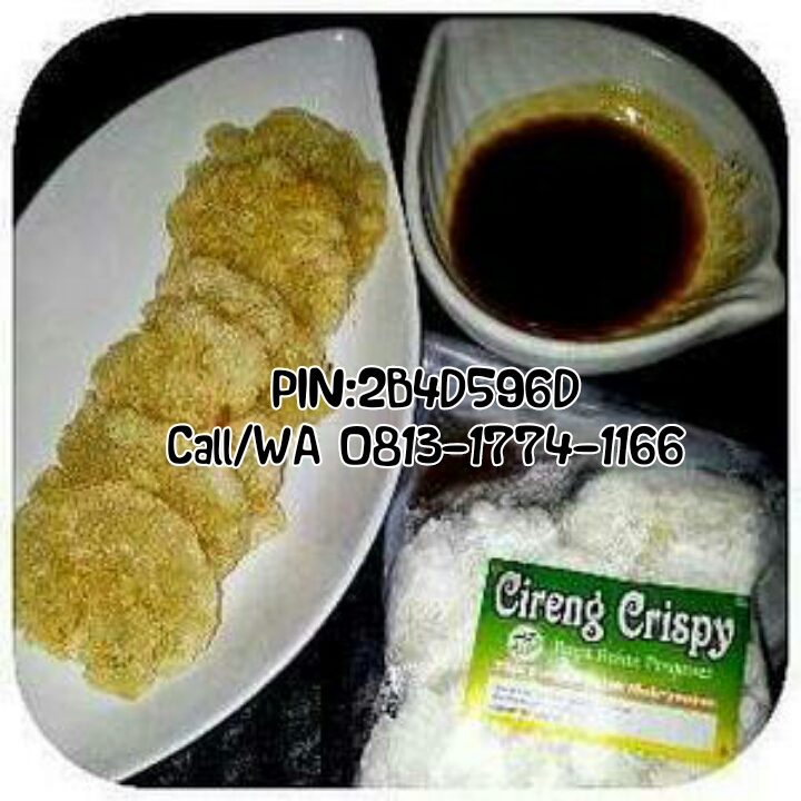 Shaza Store pin:2B4D596D Call +6281317741166