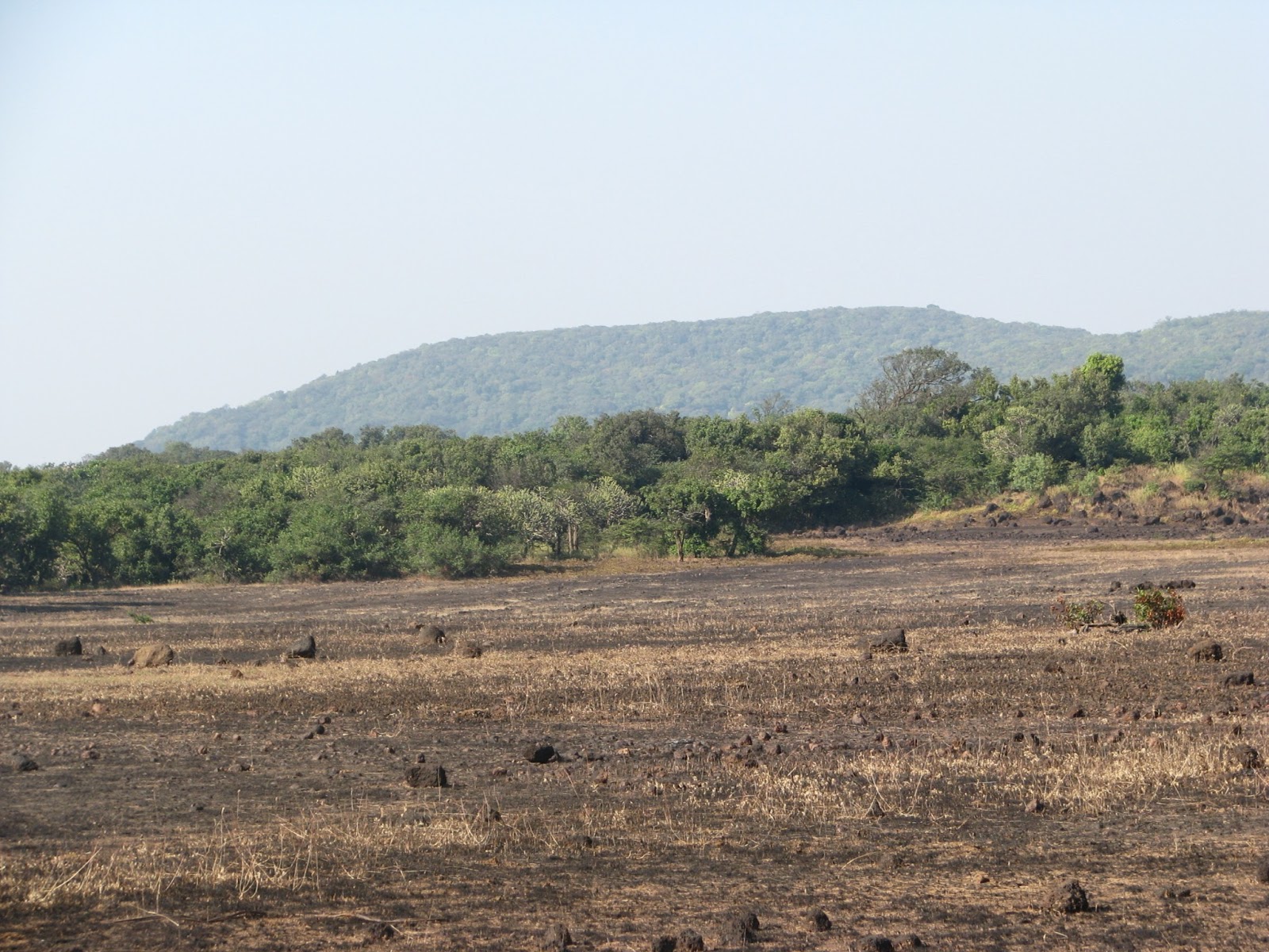 Prachitgad Fort