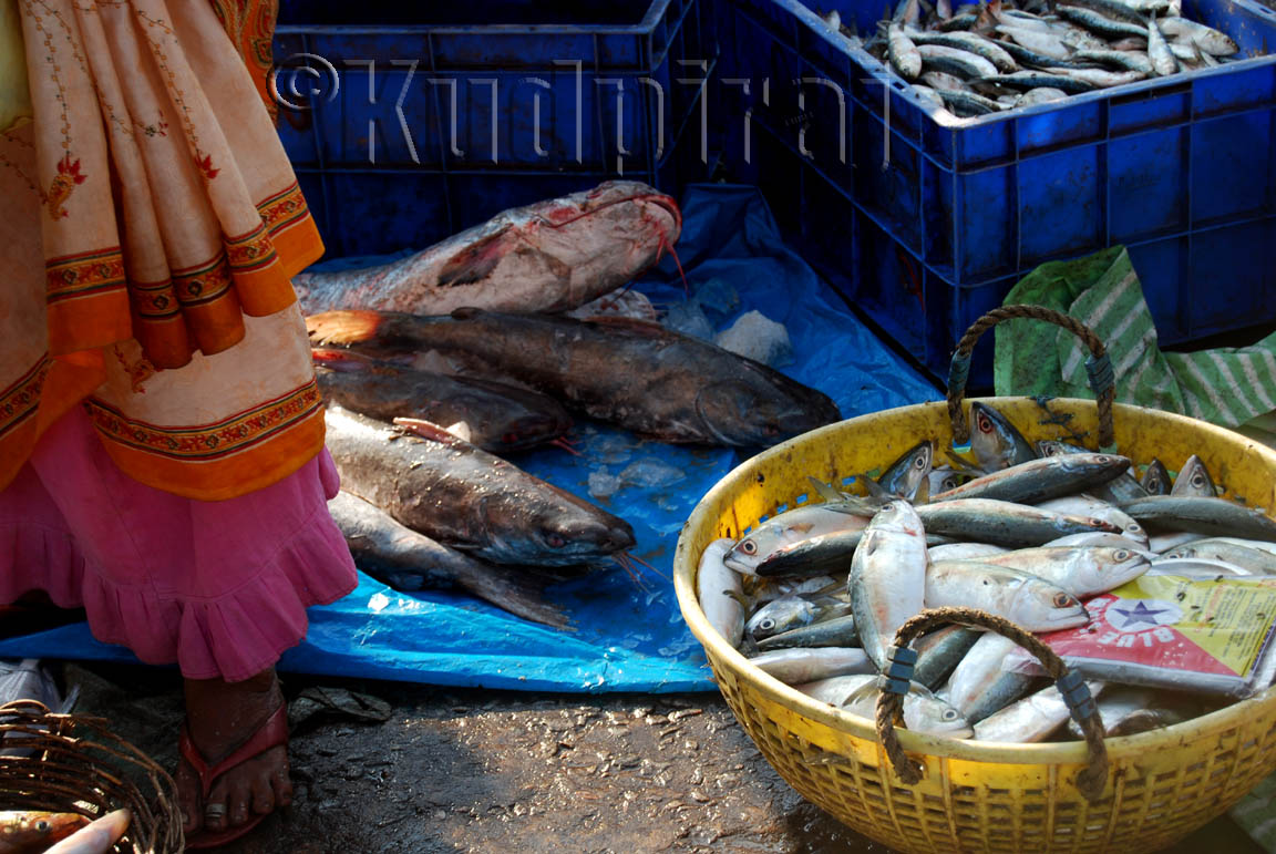 Kudpiraj's Garam Tawa: Fishing in Mangalore