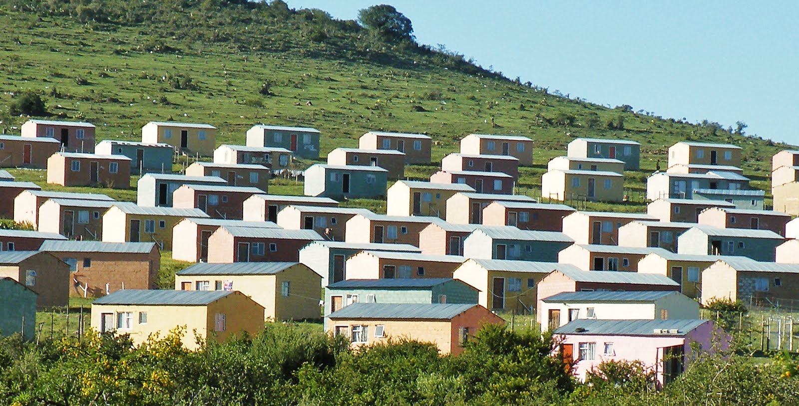 Go with Henry: Eastern Cape tour highlights