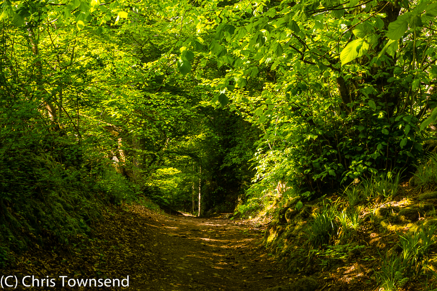 Chris Townsend Outdoors: The Profligacy of Nature