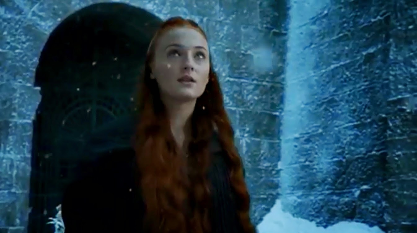 Sansa and Arya - The Rose and The Weed