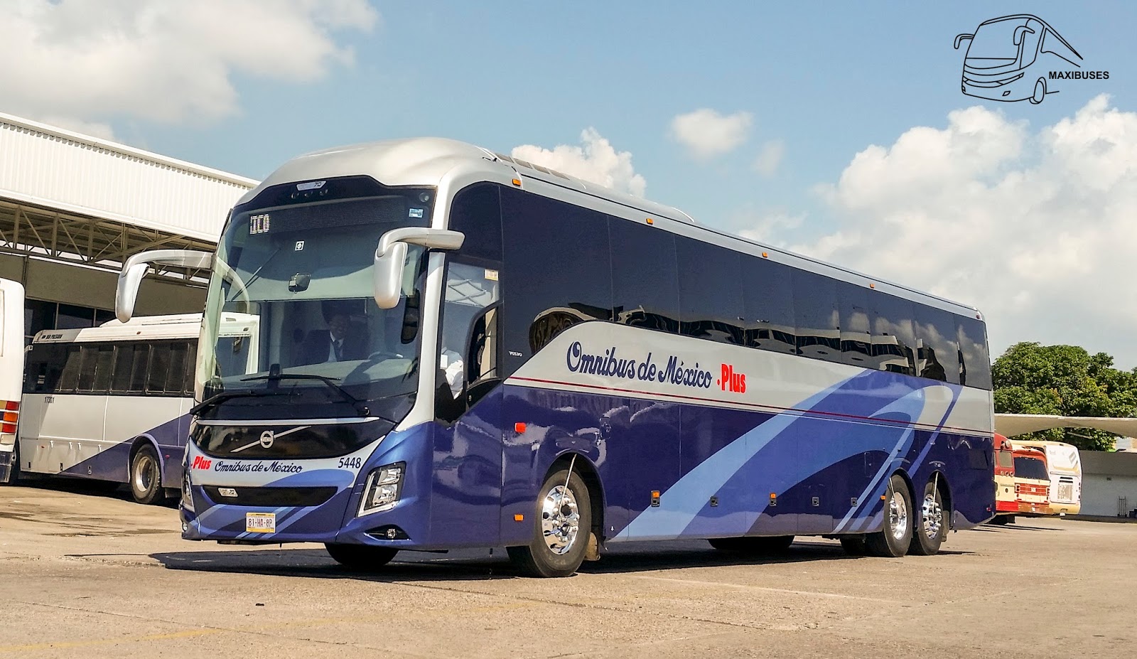 MAXIBUSES: OMNIBUS DE MÉXICO - NUEVAS UNIDES