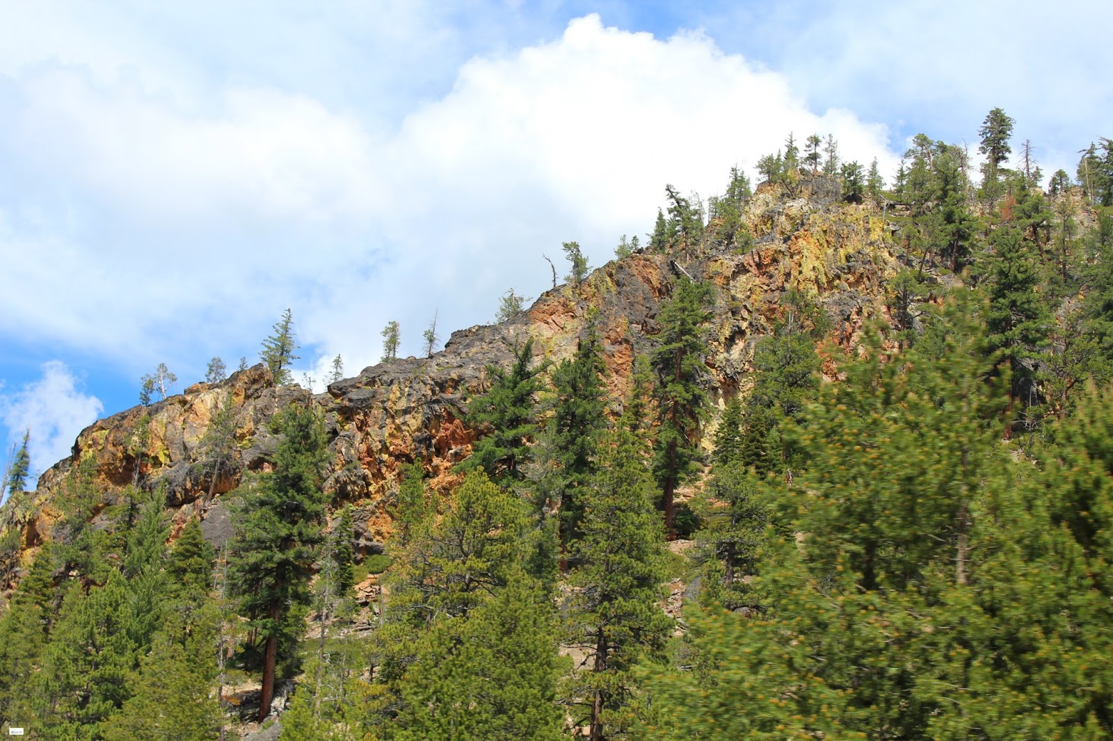 Emigrant Gap, California | Caravan Sonnet