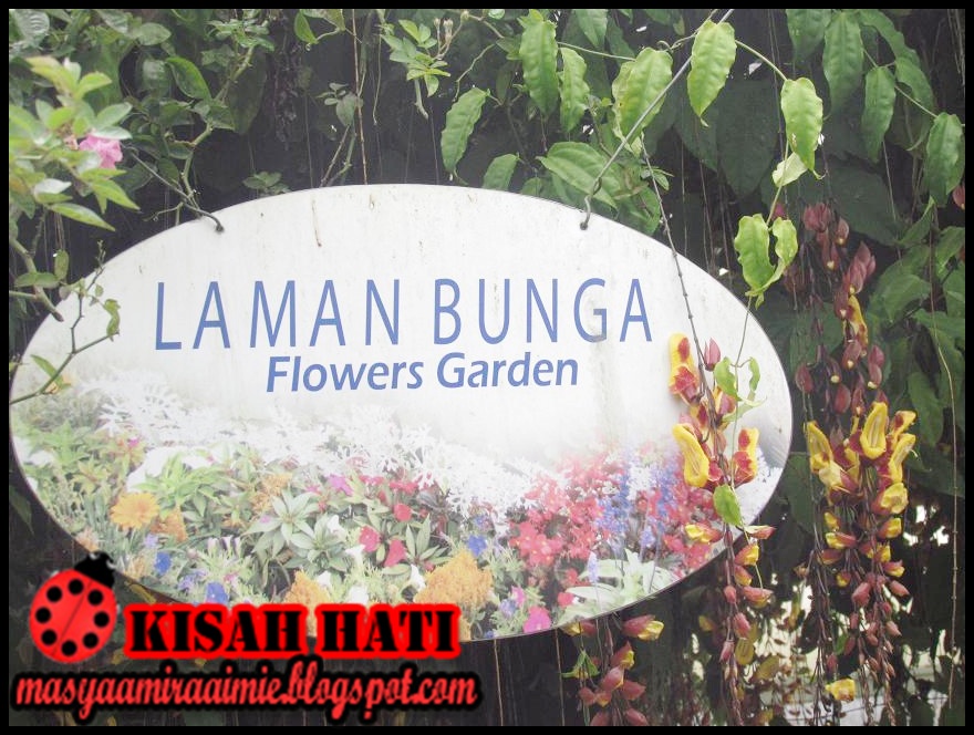 Laman Bunga Indah , Segar Dan Idaman | Dunia Masya
