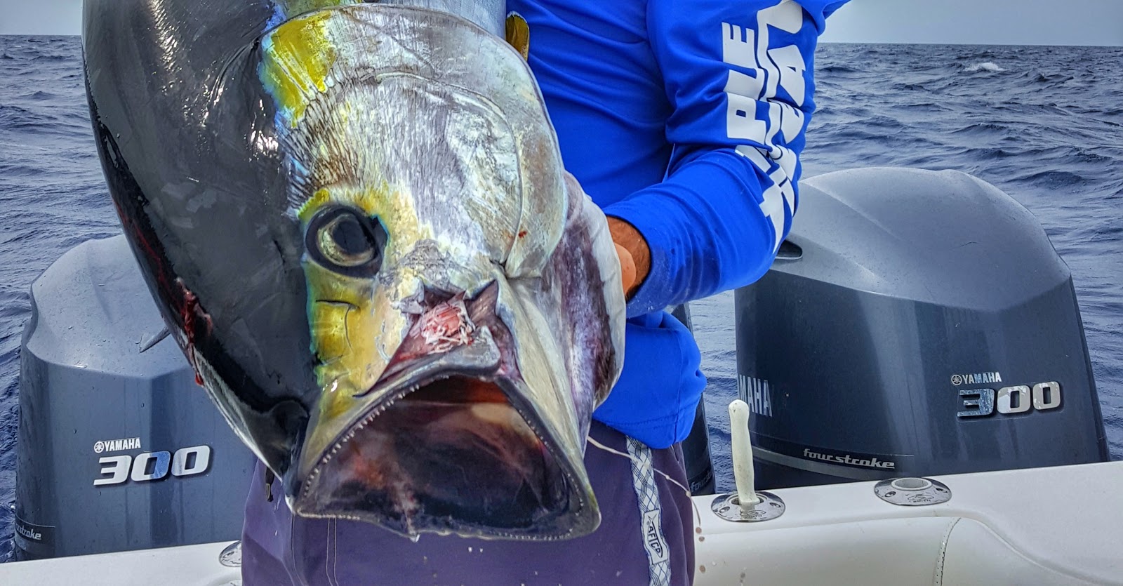 Full Throttle Media: Yellowfin Tuna Fishing is Around the Corner