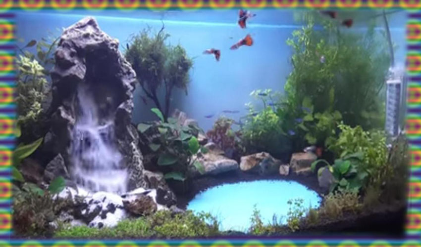 five beautiful designs to aquascape theme with waterfalls - Aquascape ...