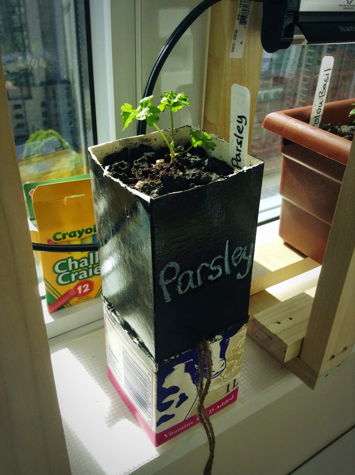 Ideas para crear tu propio huerto urbano. - Un truco para hoy