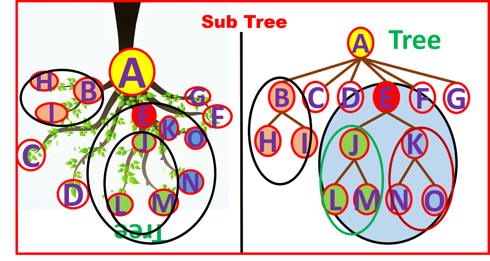 எல்லாம் அவர் செயல்....: Tree ADT - Introduction