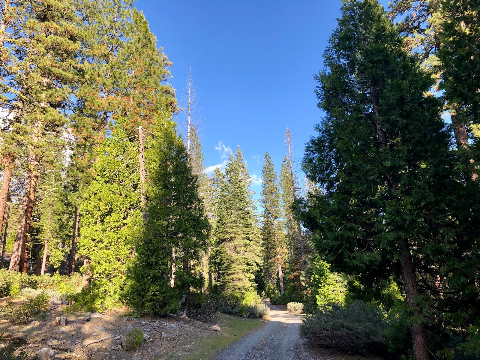 Crystal Basin Boondocking - Memorial Day 2020