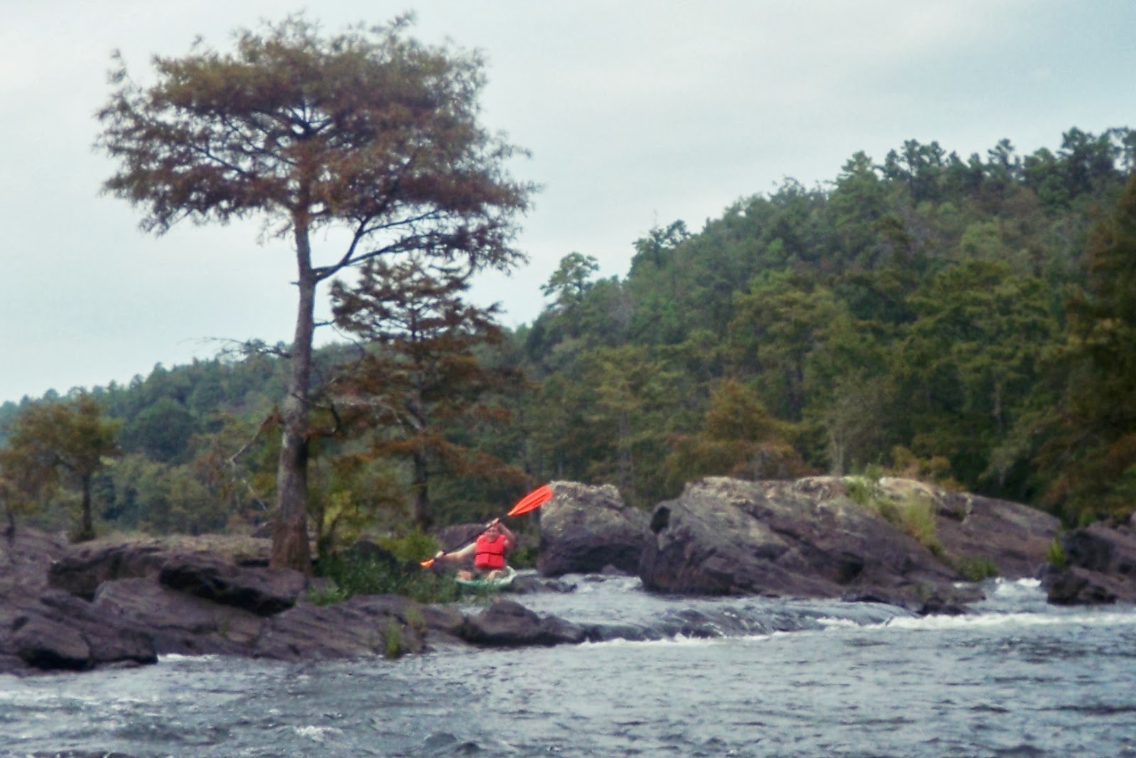 Let's Drink Coffee, Darling: Beaver's Bend Camping & Kayaking