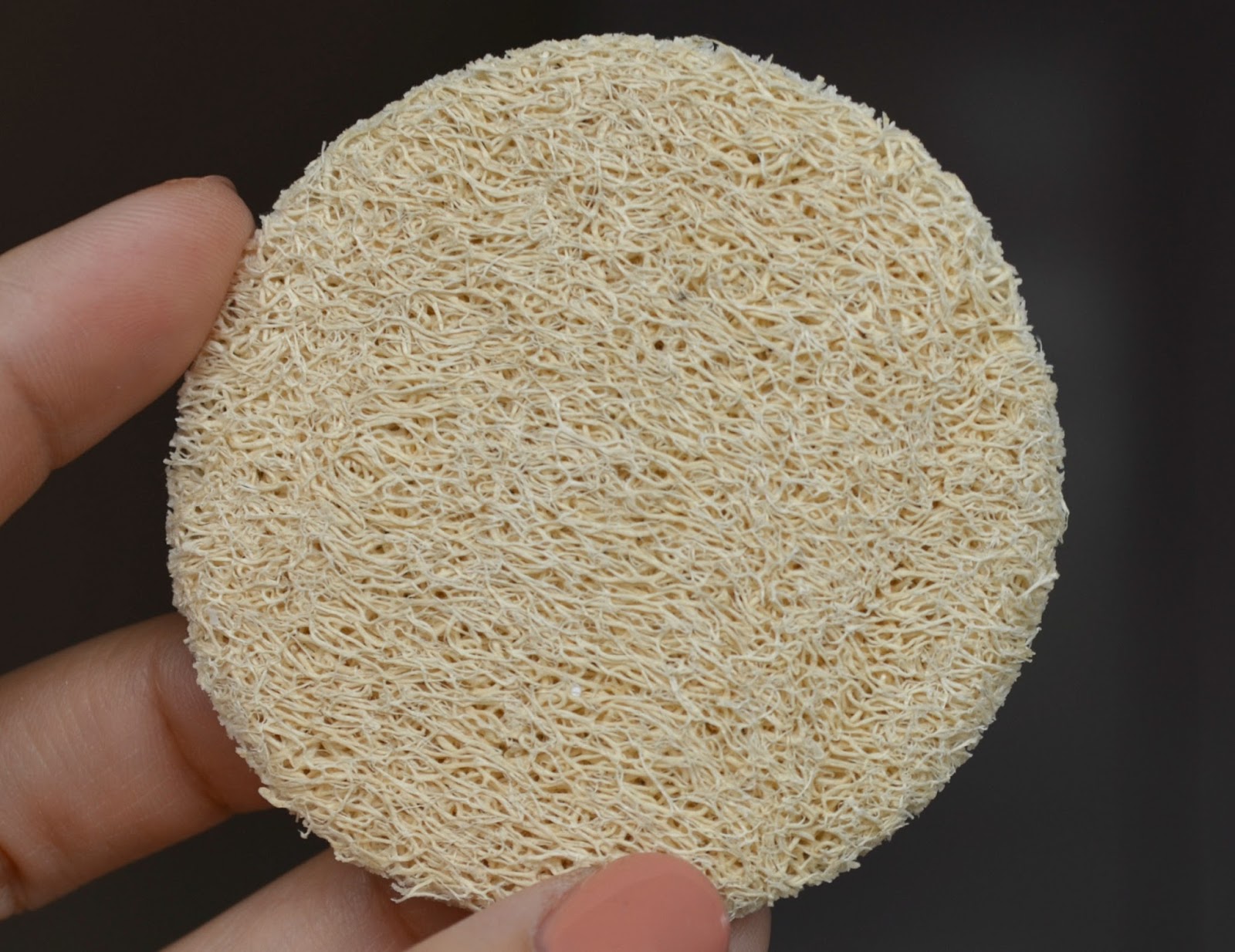 Shuga and Spice: Review: Blvd. Cosmetics Brush Shampoo & Conditioner