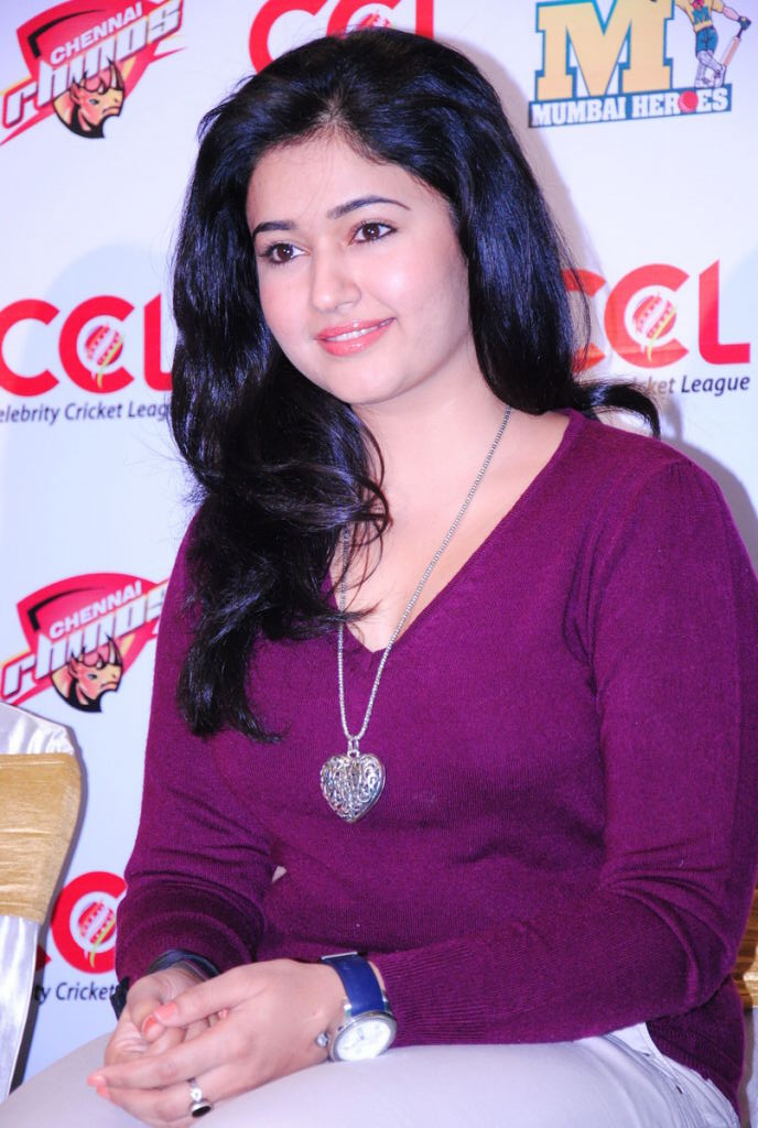 South Actress Poonam Bajwa Photo Gallery