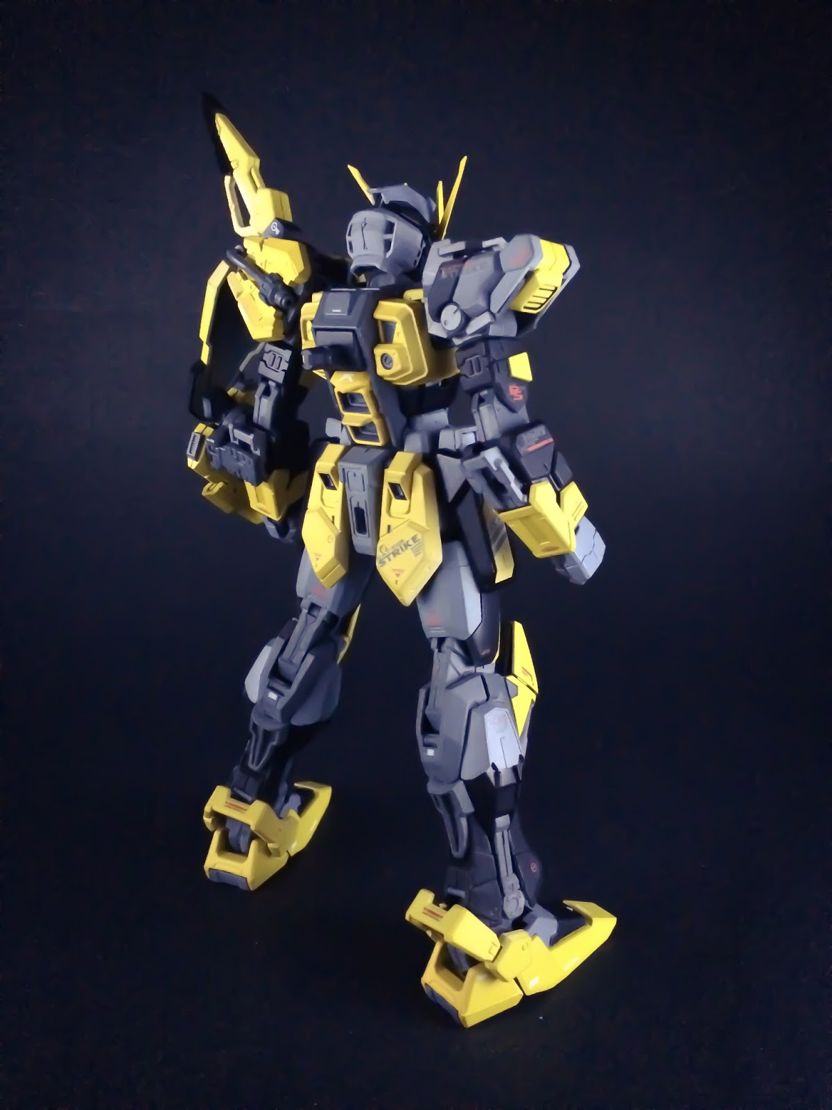 Gundam Family: MG 1/100 GAT-X105.Bee : "Sword Strike Bee" Custom Build