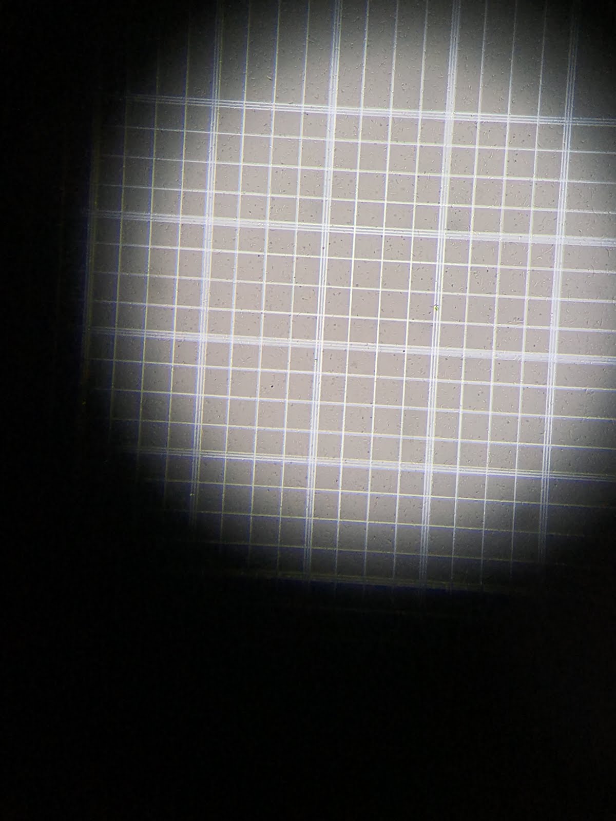 Lab 4: Using the Spectrophotometer to Measure the Rate of Bacterial ...