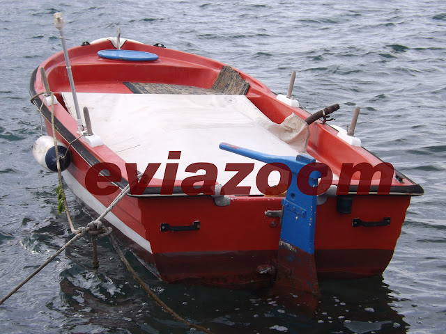 ΤΡΑΓΩΔΙΑ ΣΤΗΝ ΧΑΛΚΙΔΑ : Η ΤΕΤΡΑΧΡΟΝΗ ΒΑΣΙΛΙΚΗ ΕΠΕΣΕ ΣΤΗΝ ΘΑΛΑΣΣΑ ΚΑΙ ...