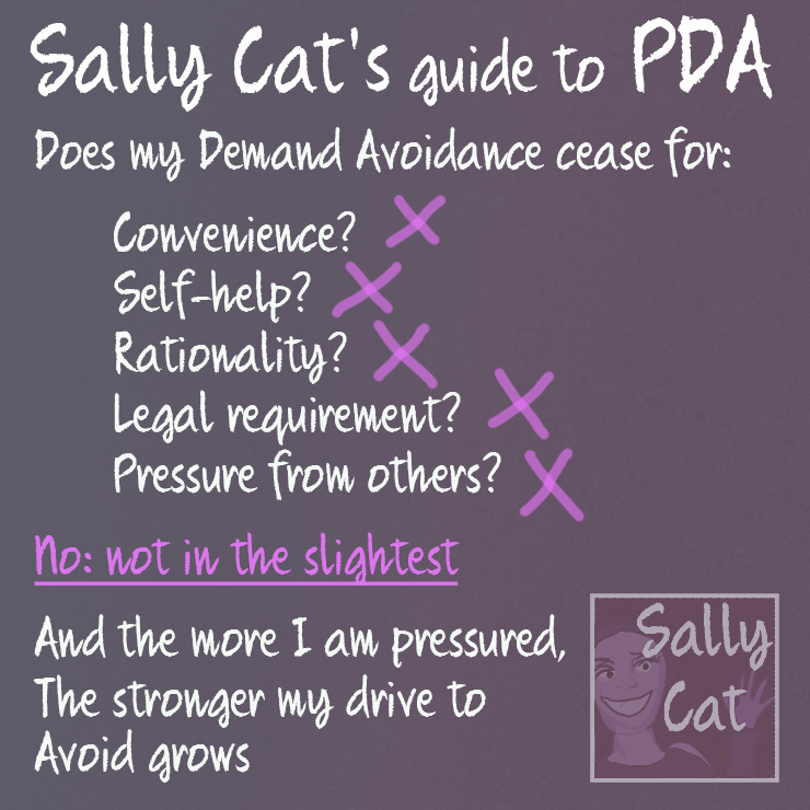 Sally Cat PDA: Memes About Demand Avoidance