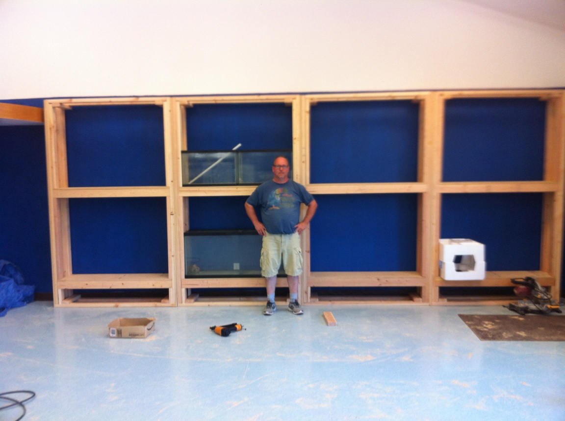 Finatics Tropical Fish : Logo's and Fish tank stands